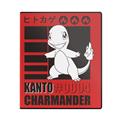 Pokemon Tcg Charmander 2 In Album (Net) - Discount Comic Book Service