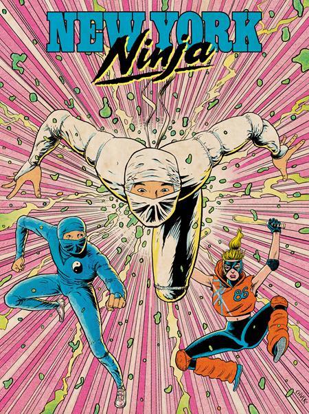 New York Ninja Super Special Vol 2 (MR) - Discount Comic Book Service