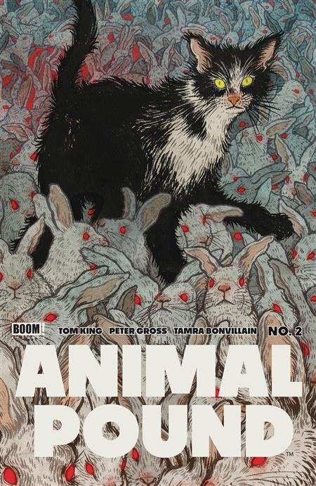 Animal Pound #2 (of 4) Cvr B Shimizu (MR) - Discount Comic Book Service