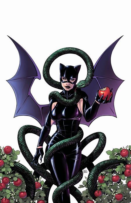 Knight Terrors Catwoman #1 (of 2) Cvr C Corin Howell Card Stock Var ...